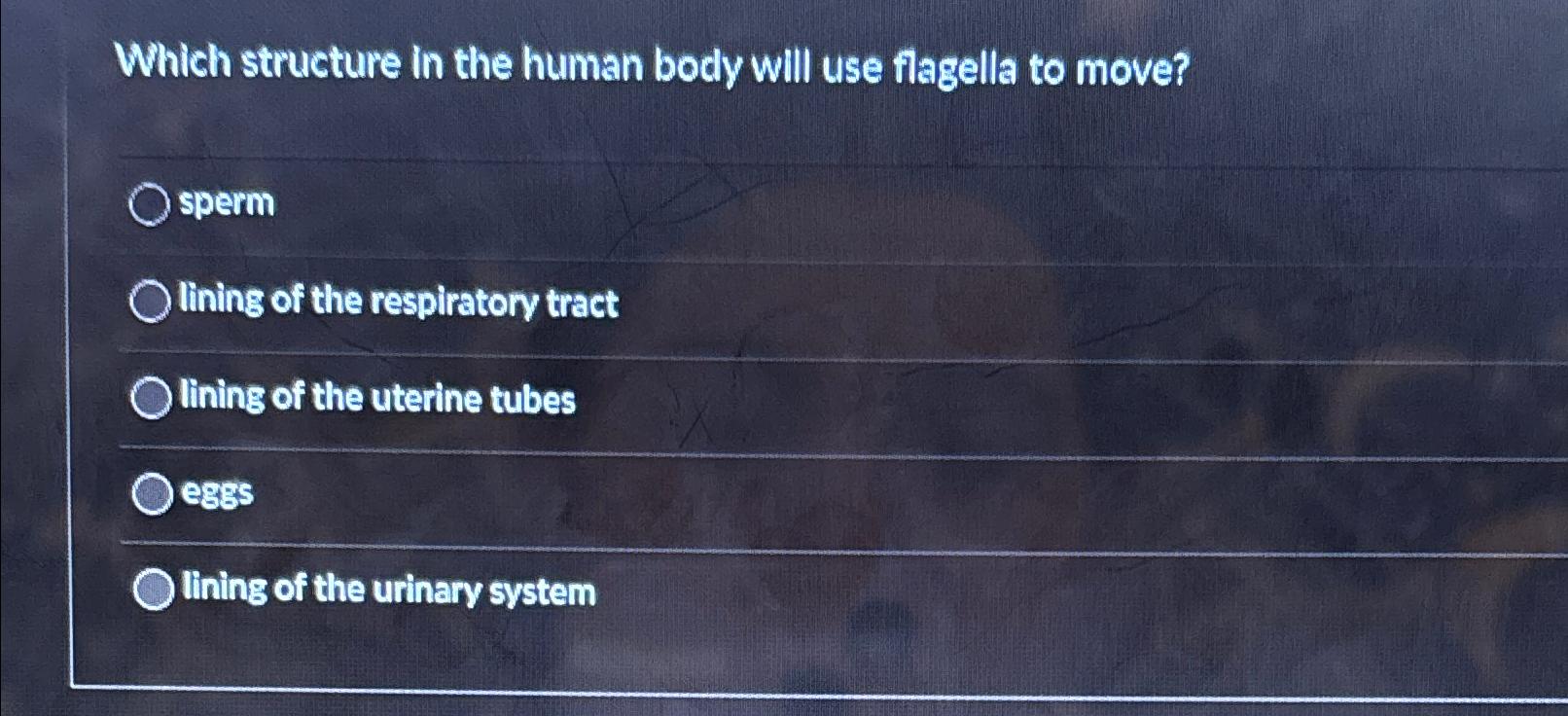 Solved Which structure in the human body will use flagella | Chegg.com