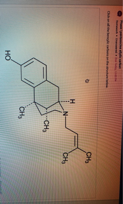 Solved Lidocaine basic functional group Homework Unanswered | Chegg.com