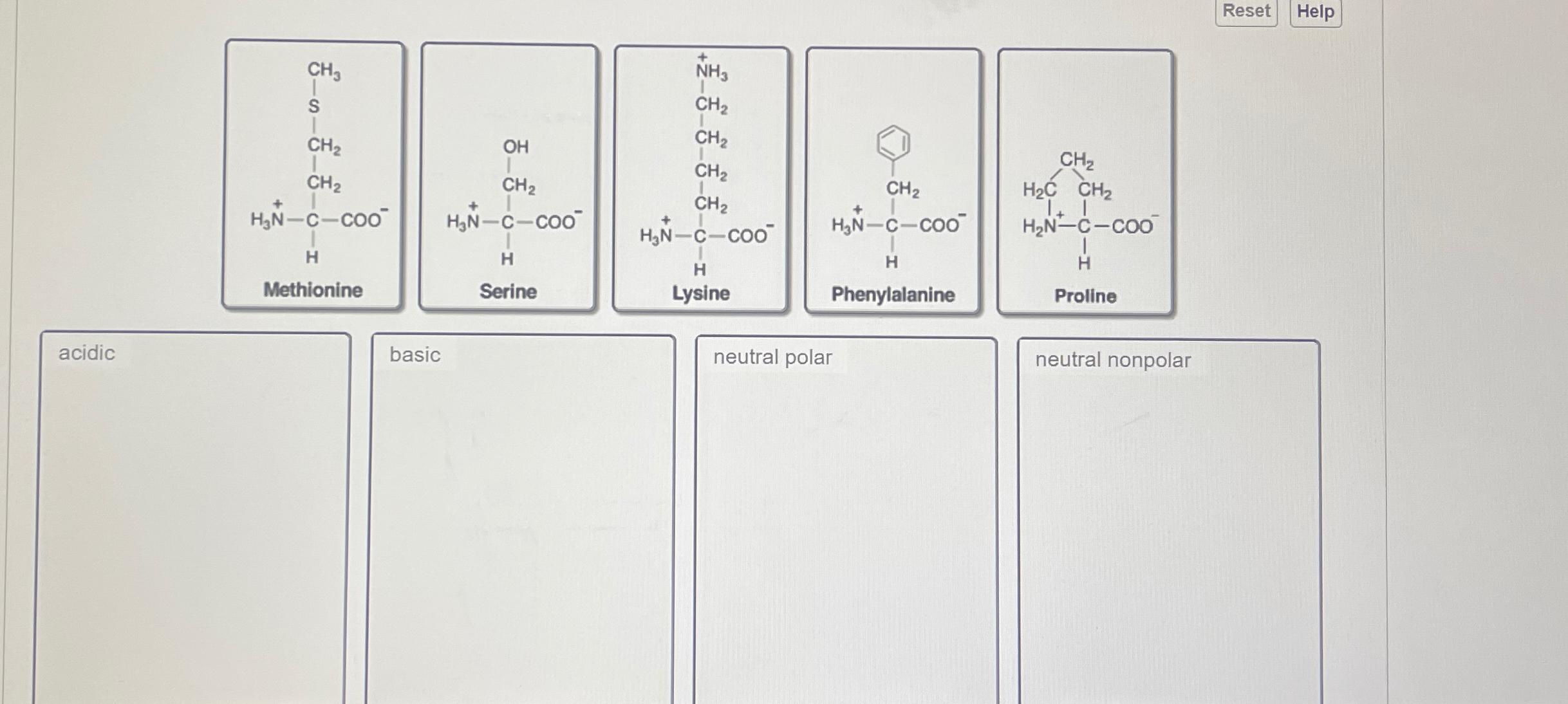 Solved HelpMethioninePhenylalanineProlinebasic | Chegg.com