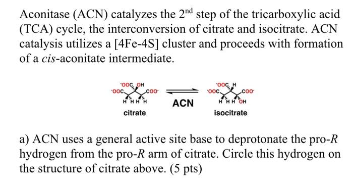 Solved Aconitase (ACN) catalyzes the 2nd step of the | Chegg.com