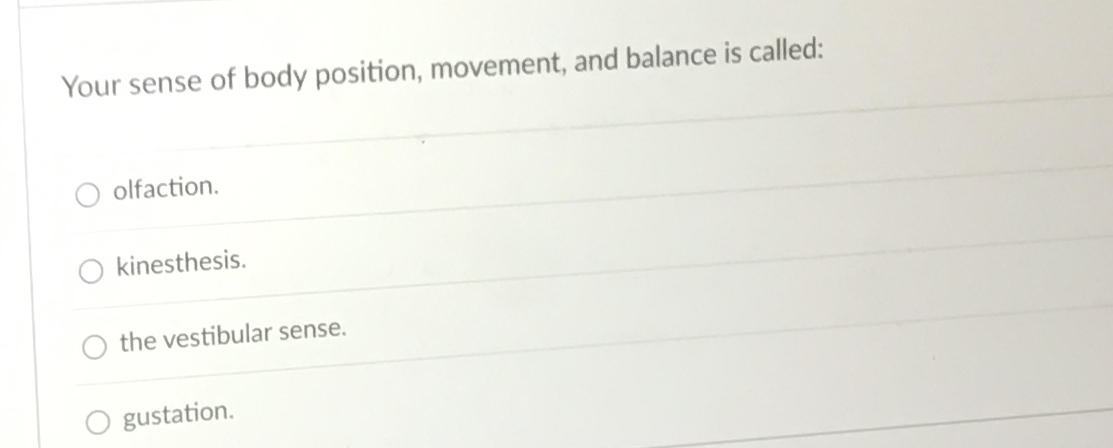 Solved Your sense of body position, movement, and balance is | Chegg.com