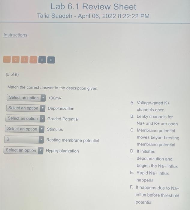 Solved Lab 6.1 Review Sheet Talia Saadeh - April 06, 2022 | Chegg.com