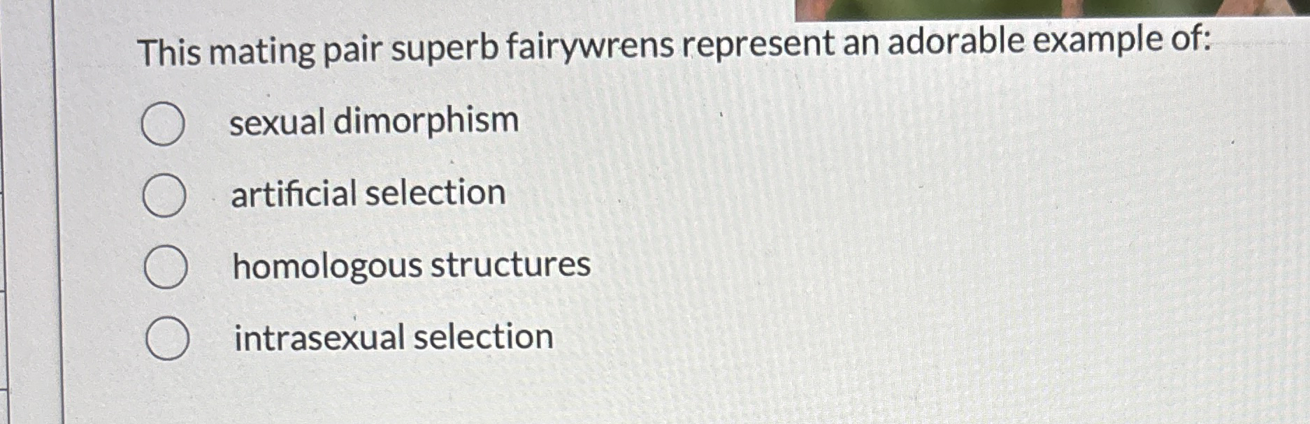 Solved This mating pair superb fairywrens represent an | Chegg.com