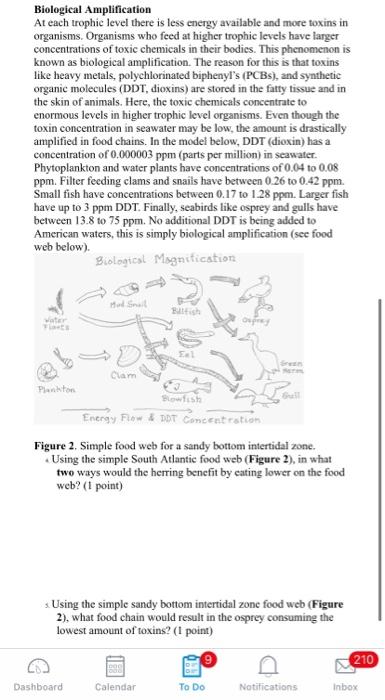 Solved Biological Amplification At each trophic level there | Chegg.com