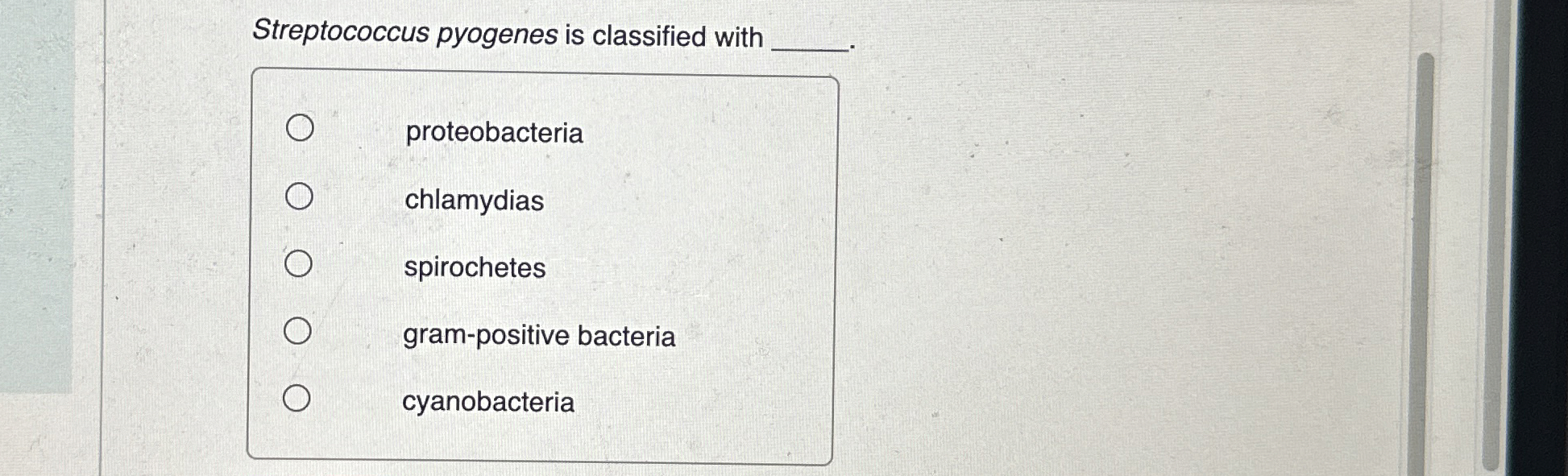 Solved Streptococcus pyogenes is classified | Chegg.com