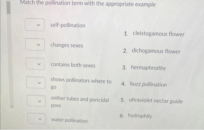 Solved Match the pollination term with the appropriate | Chegg.com