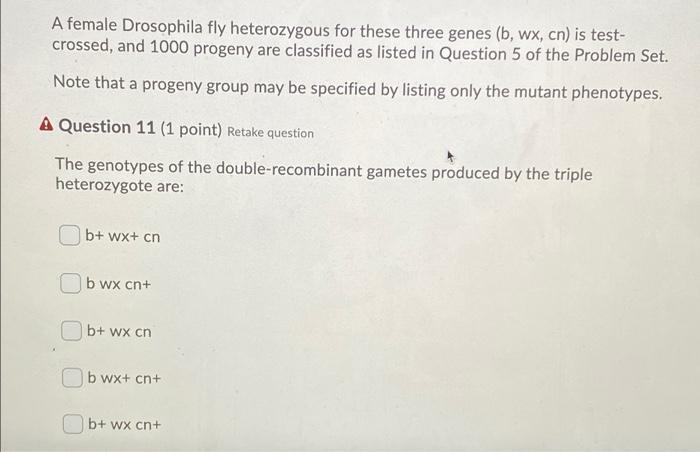 The following X-linked recessive traits are found in | Chegg.com