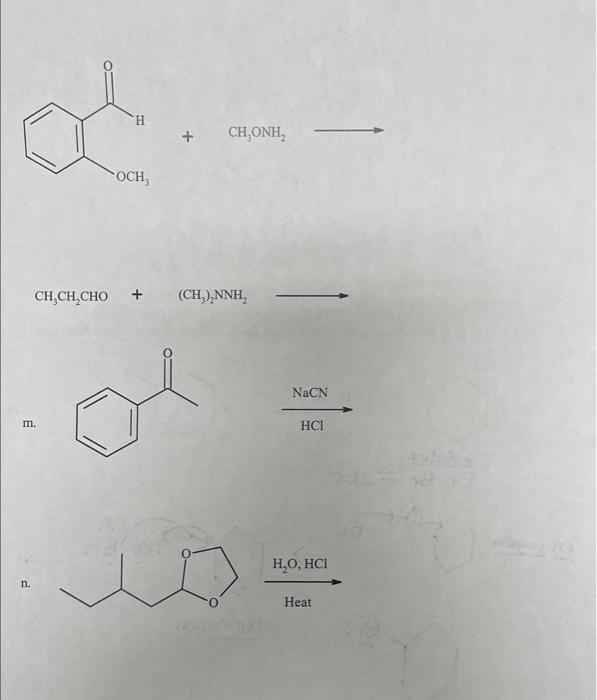 Solved +CH3ONH2 CH3CH2CHO+(CH3)2NNH2 m. n. | Chegg.com