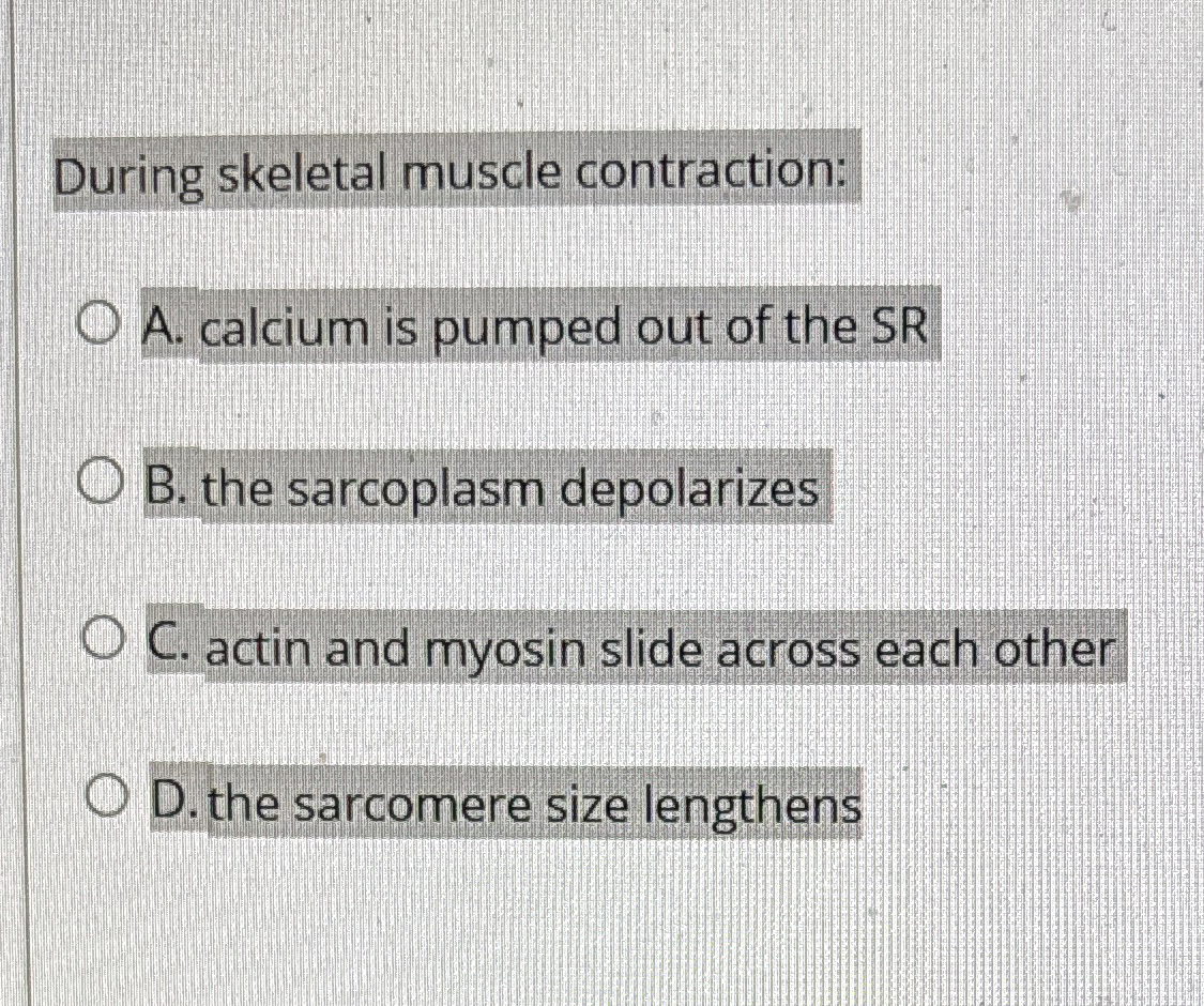 Solved During skeletal muscle contraction:A. ﻿calcium is | Chegg.com