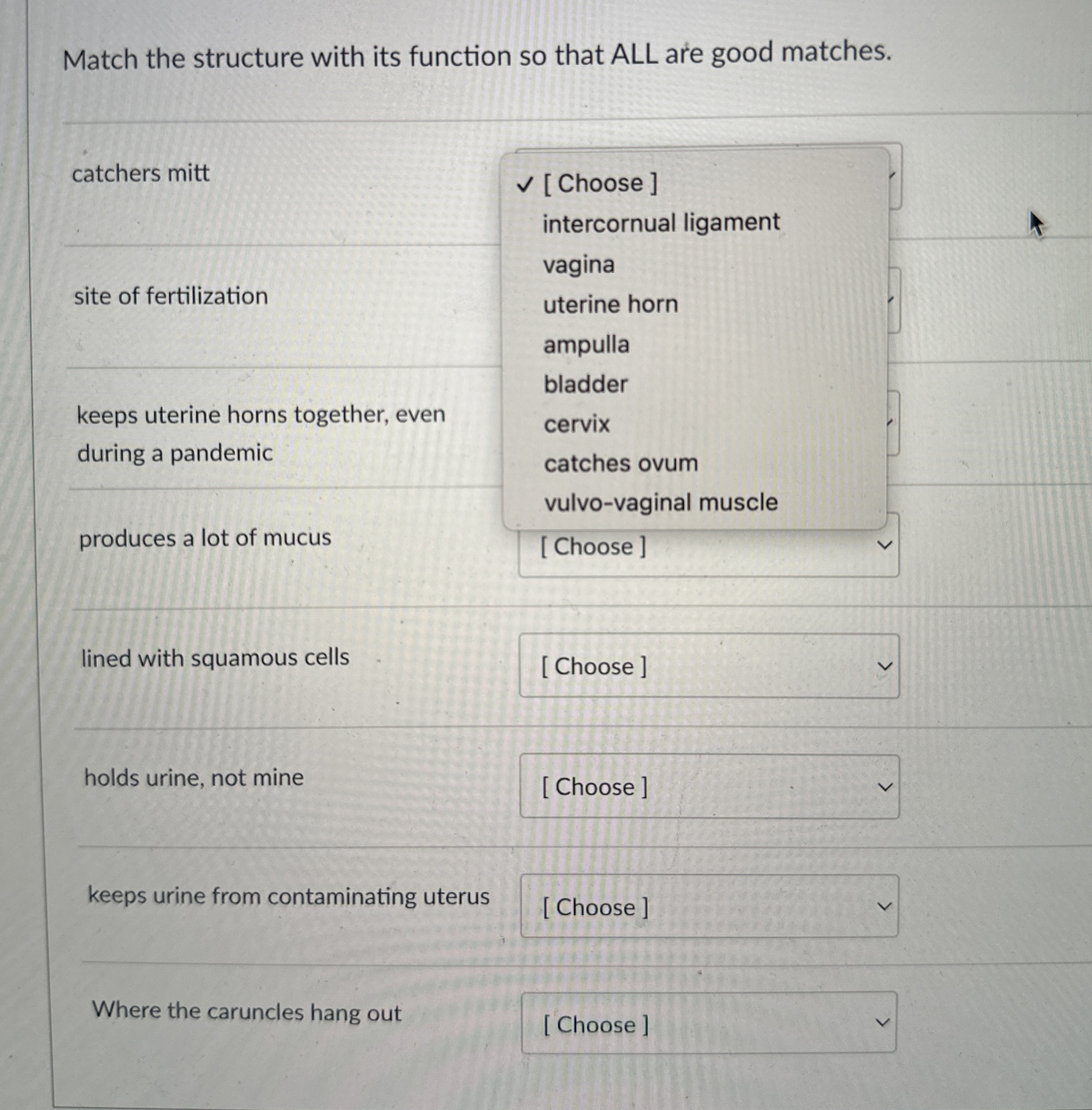 Solved Match the structure with its function so that ALL are | Chegg.com