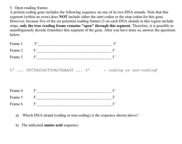 Solved 5. Open reading frames A protein coding gene includes | Chegg.com
