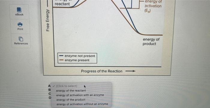 Solved The graphs shows a chemical reaction with and without | Chegg.com