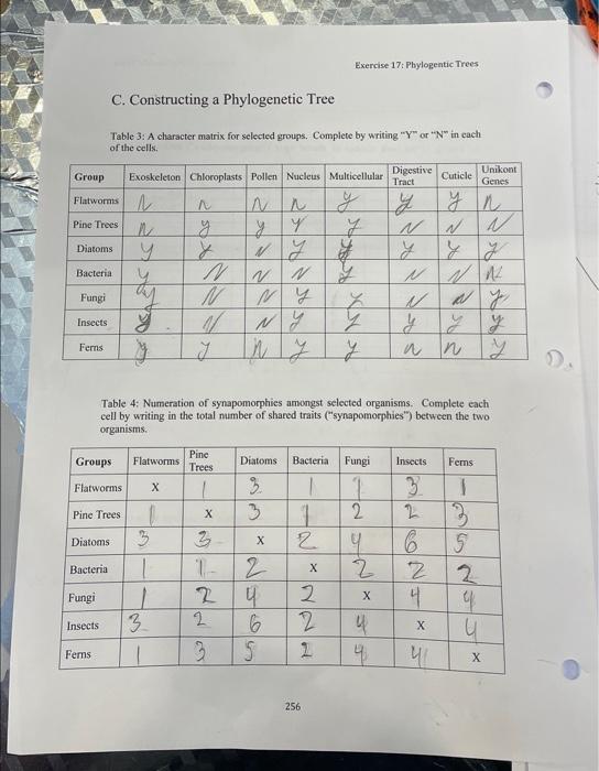 Solved C. Constructing a Phylogenetic Tree Table 3: A | Chegg.com