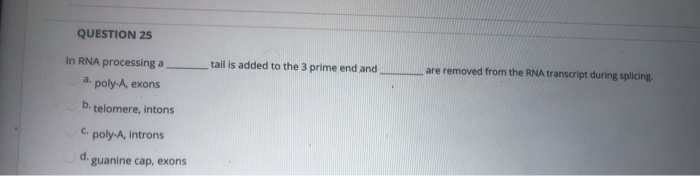 Solved QUESTION 25 tail is added to the 3 prime end and In | Chegg.com