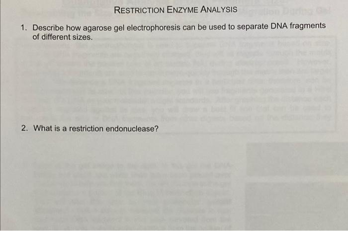 Solved Before collecting data and analyzing your results | Chegg.com