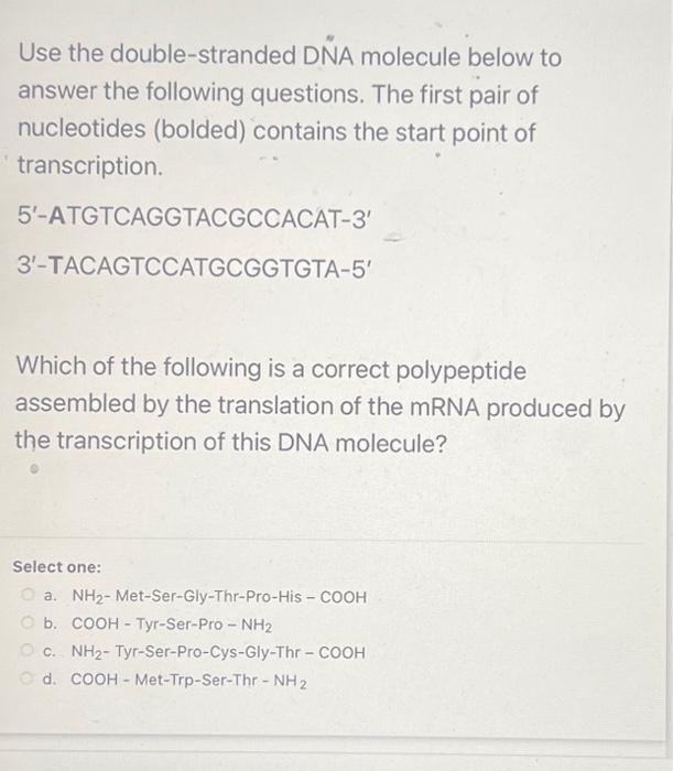 Solved Use the double-stranded DNA molecule below to answer | Chegg.com