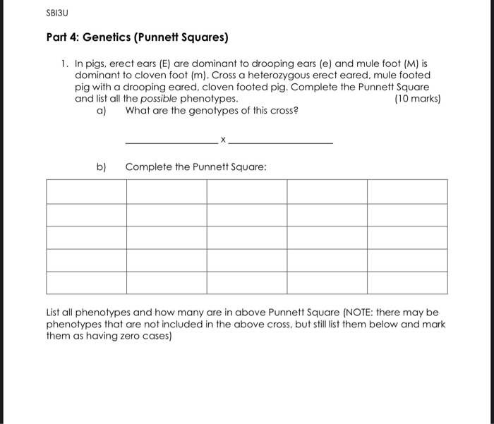 Solved SB13U Part 4: Genetics (Punnett Squares) 1. In pigs, | Chegg.com