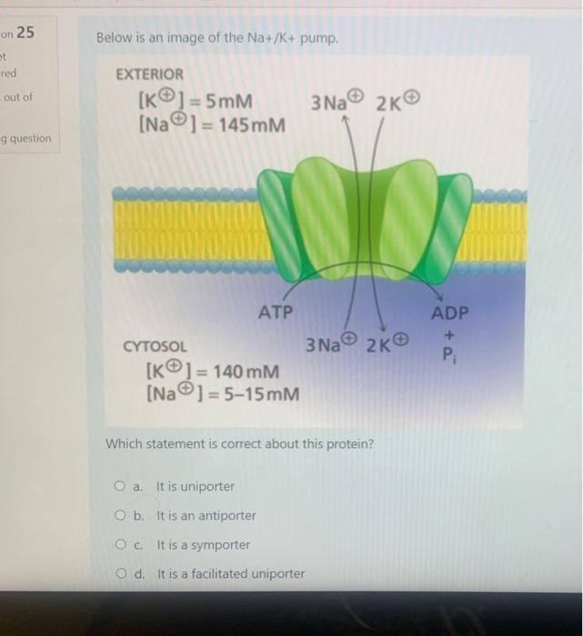 Solved Below is an image of the Na+/K+ pump. 9 question | Chegg.com