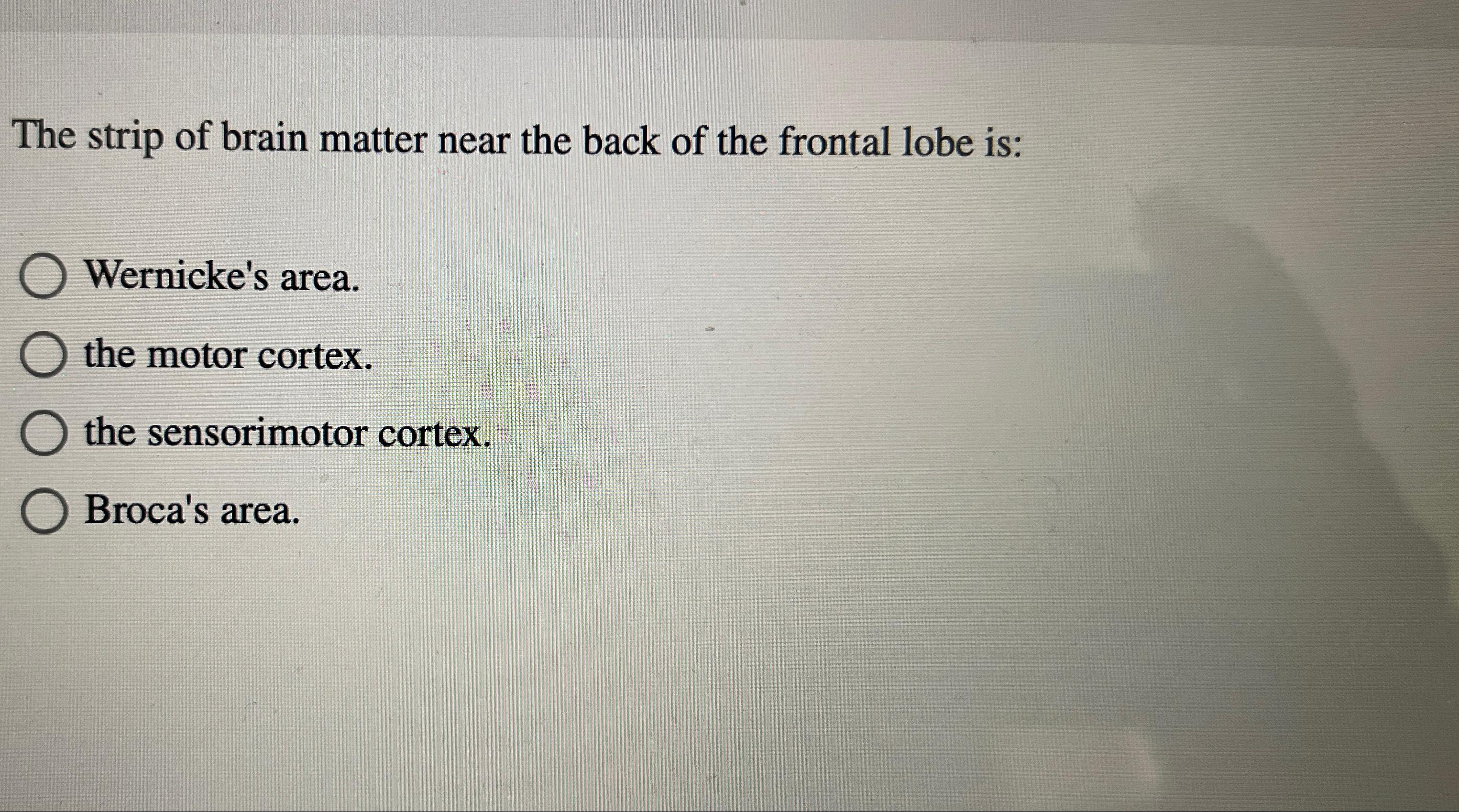 Solved The strip of brain matter near the back of the | Chegg.com