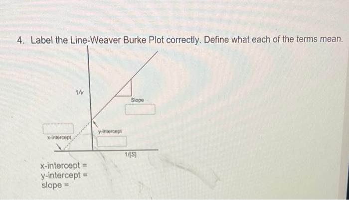 Solved 4. Label the Line-Weaver Burke Plot correctly. Define | Chegg.com