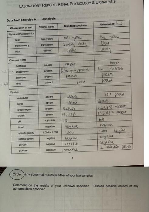 Solved LABORATORY REPORT: RENAL PHYSIOLOGY \& URINALYSIS | Chegg.com