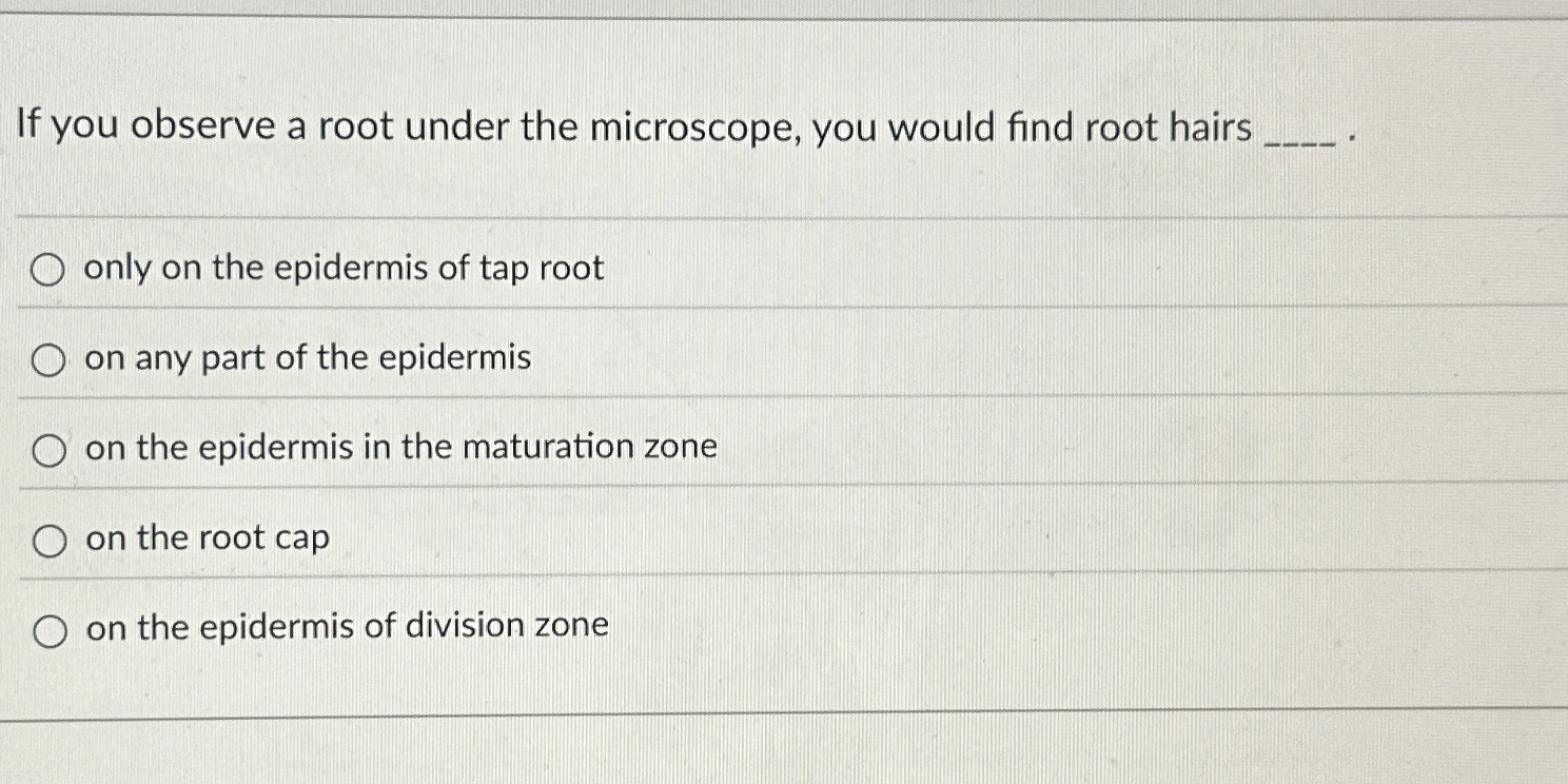 Solved If you observe a root under the microscope, you would | Chegg.com