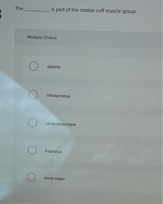 Solved The is part of the rotator cuff muscle group. | Chegg.com