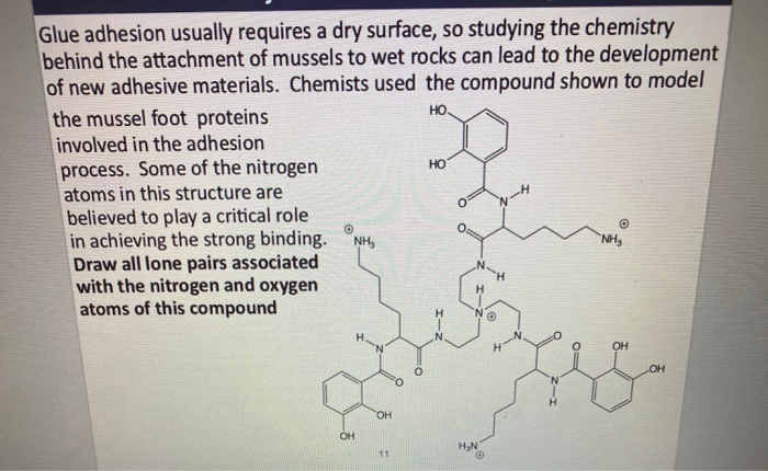 Solved Ню. HO Glue adhesion usually requires a dry surface, | Chegg.com