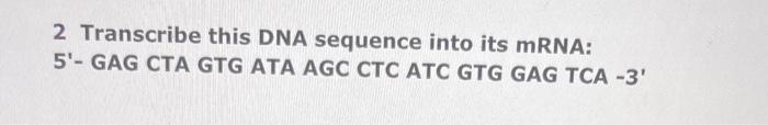 Solved 2 Transcribe this DNA sequence into its mRNA: 5'- GAG | Chegg.com