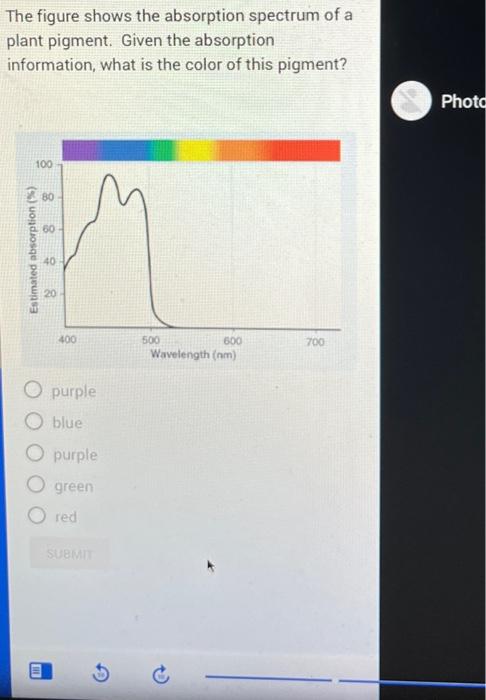 Solved The figure shows the absorption spectrum of a plant | Chegg.com