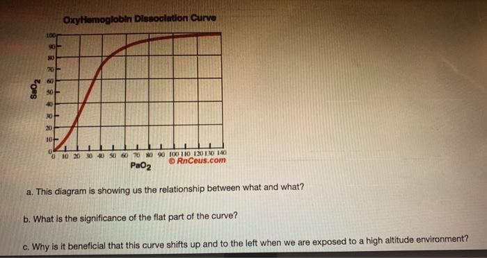 Solved OxyHemoglobin Dissociation Curve 100 - 20 00 Sao 40 | Chegg.com