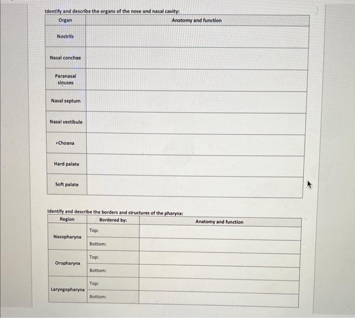 Solved Identifv the structurne and nesane of tha | Chegg.com