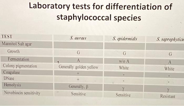 Solved Experiment 40 - Identification of Staphylococci S. | Chegg.com