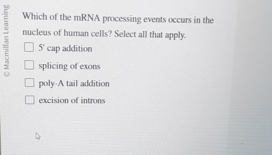 Solved Which of the mRNA processing events occurs in the | Chegg.com