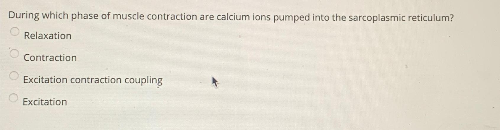 Solved During which phase of muscle contraction are calcium | Chegg.com