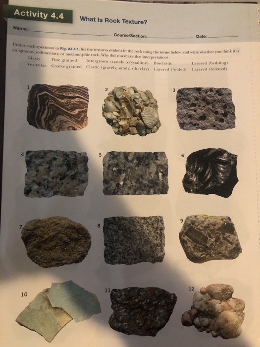 Solved ACTIVITY 4.4 Use the information on pages 113- 115 to | Chegg.com