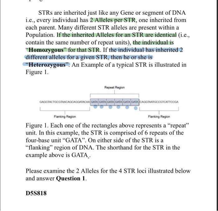 Solved STRs are inherited just like any Gene or segment of | Chegg.com
