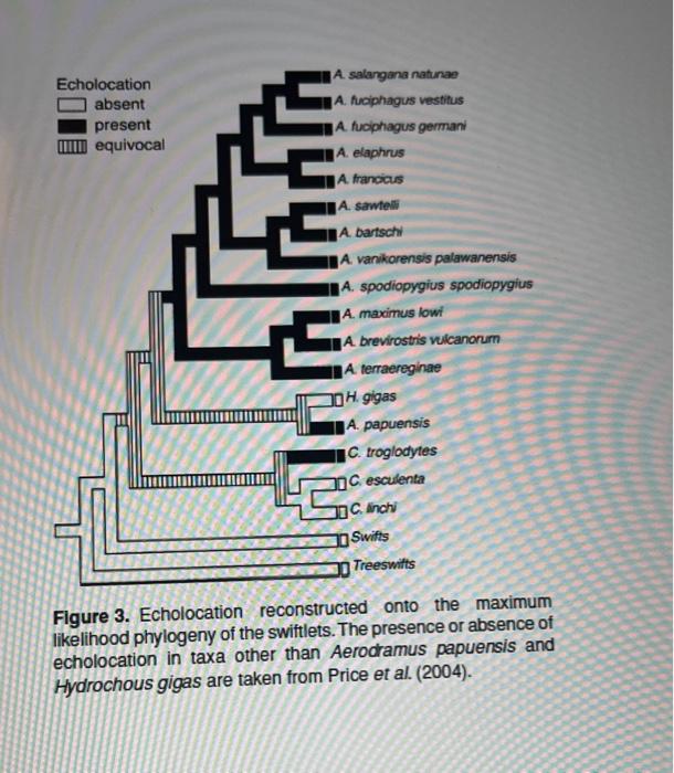 Solved Topic: Animal Behaviour Swiftlets are unusual birds | Chegg.com