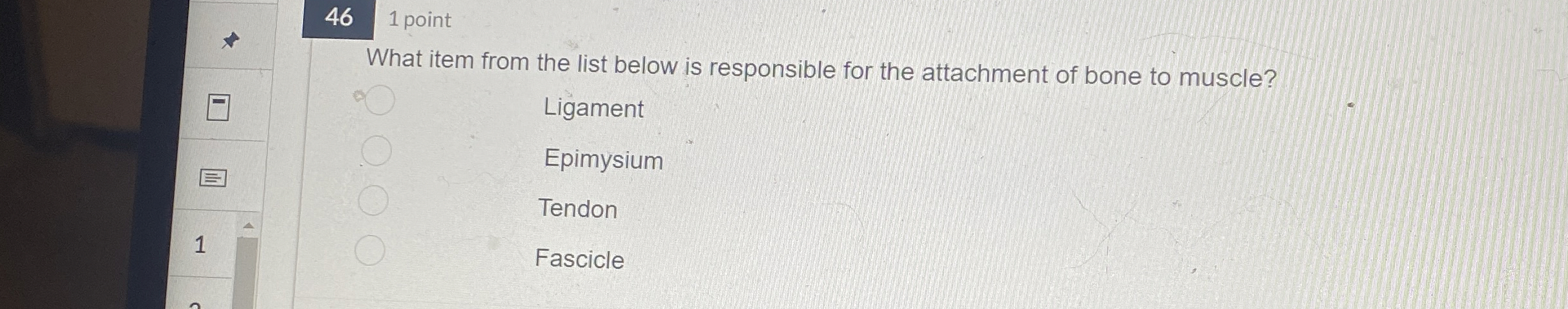 Solved 46,1 ﻿pointWhat item from the list below is | Chegg.com