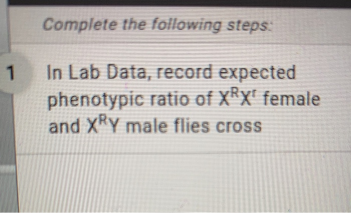 Solved Mendelian Genetics X Linked Fruitfly Cross