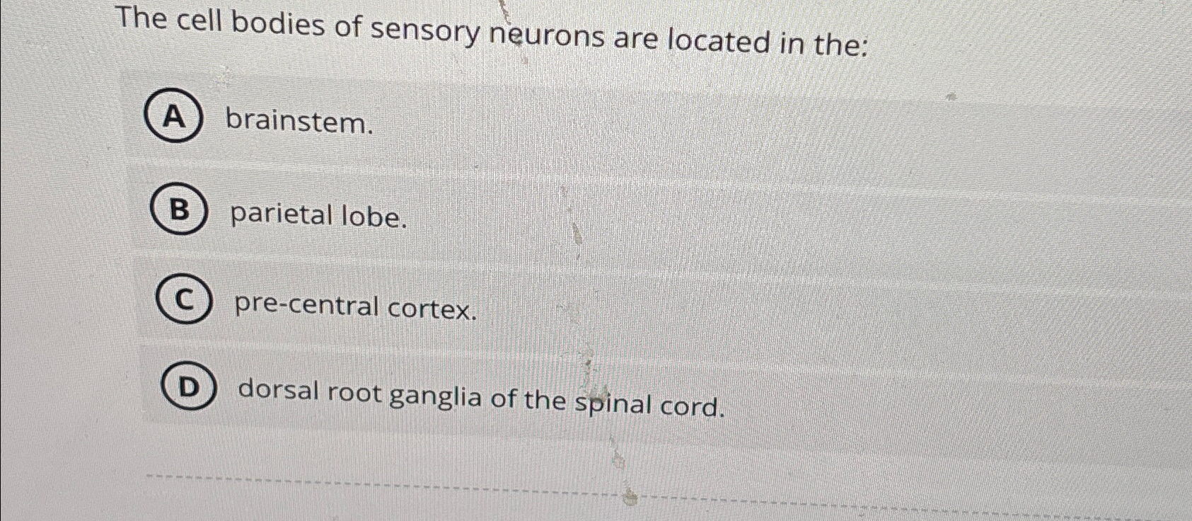 Solved The cell bodies of sensory neurons are located in | Chegg.com