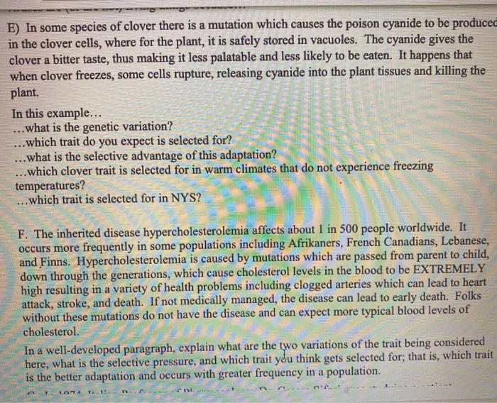 Solved E) In some species of clover there is a mutation | Chegg.com