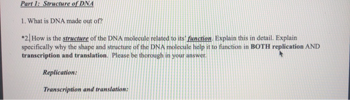 Solved Part 1: Structure of DNA 1. What is DNA made out of? | Chegg.com