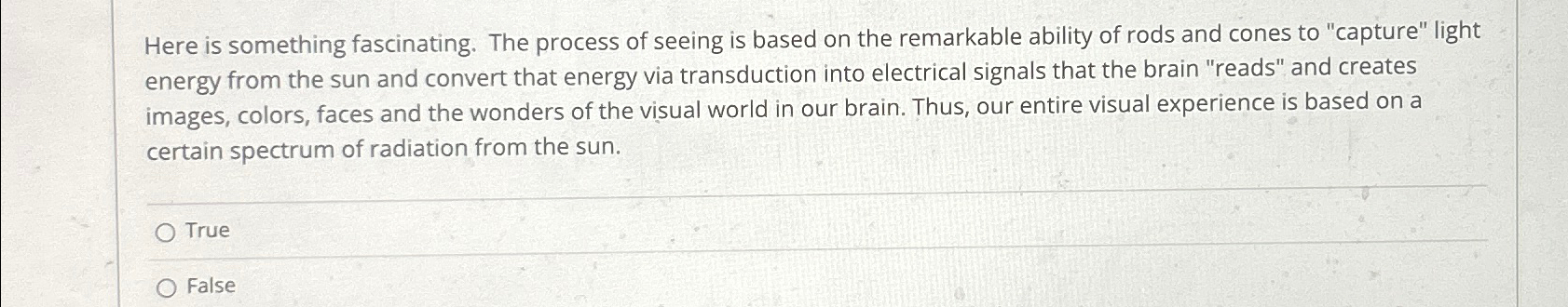 Solved Here is something fascinating. The process of seeing | Chegg.com