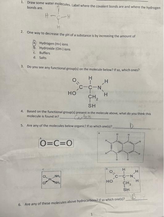 Solved 1. Draw some water molecules. Label where the | Chegg.com