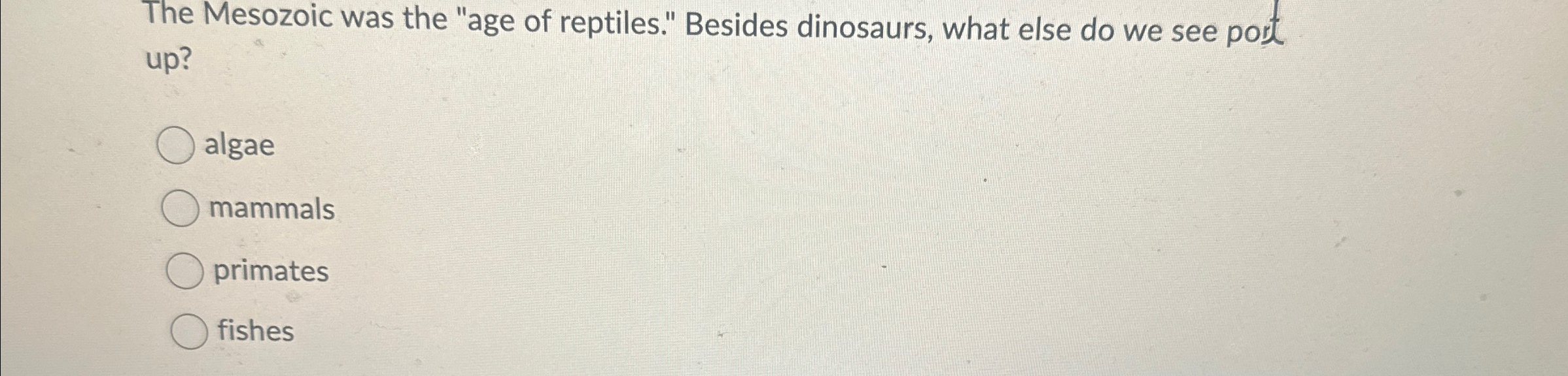 Solved The Mesozoic was the "age of reptiles." Besides | Chegg.com