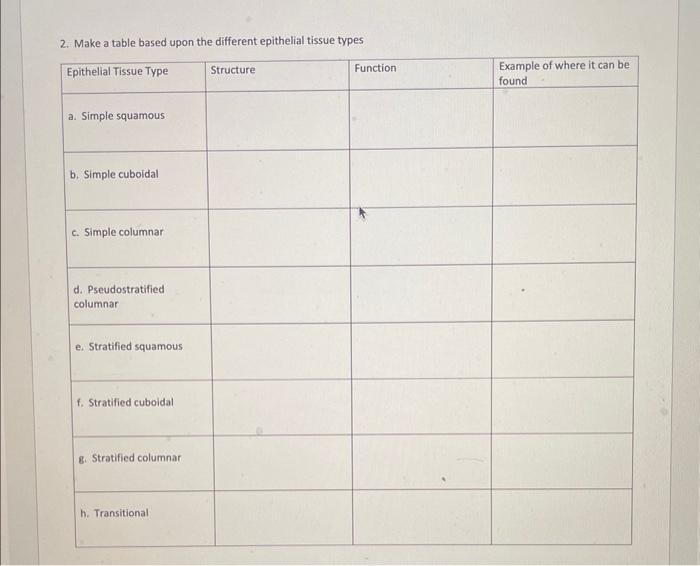 Solved 2. Make a table based upon the different epithelial | Chegg.com