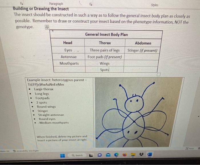 Building or Drawing the Insect The insect should be | Chegg.com