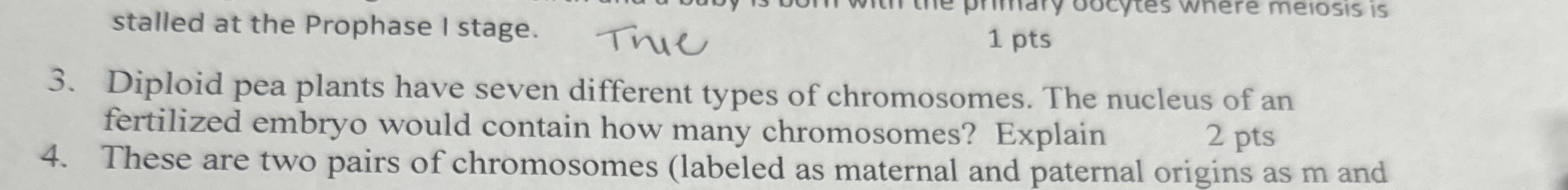 Solved stalled at the Prophase I stage.3. ﻿Diploid pea | Chegg.com