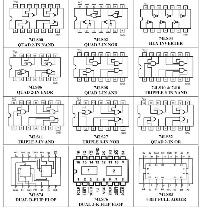 Solved OBJECTIVE After completing this experiment, you will | Chegg.com